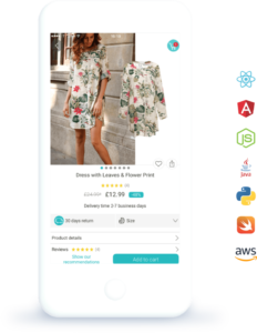 Web App Development Services | Temy